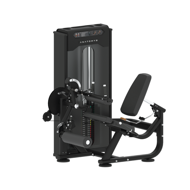 Strengthening Knees and Lower-Back Health with Leg Extension and Leg W ...