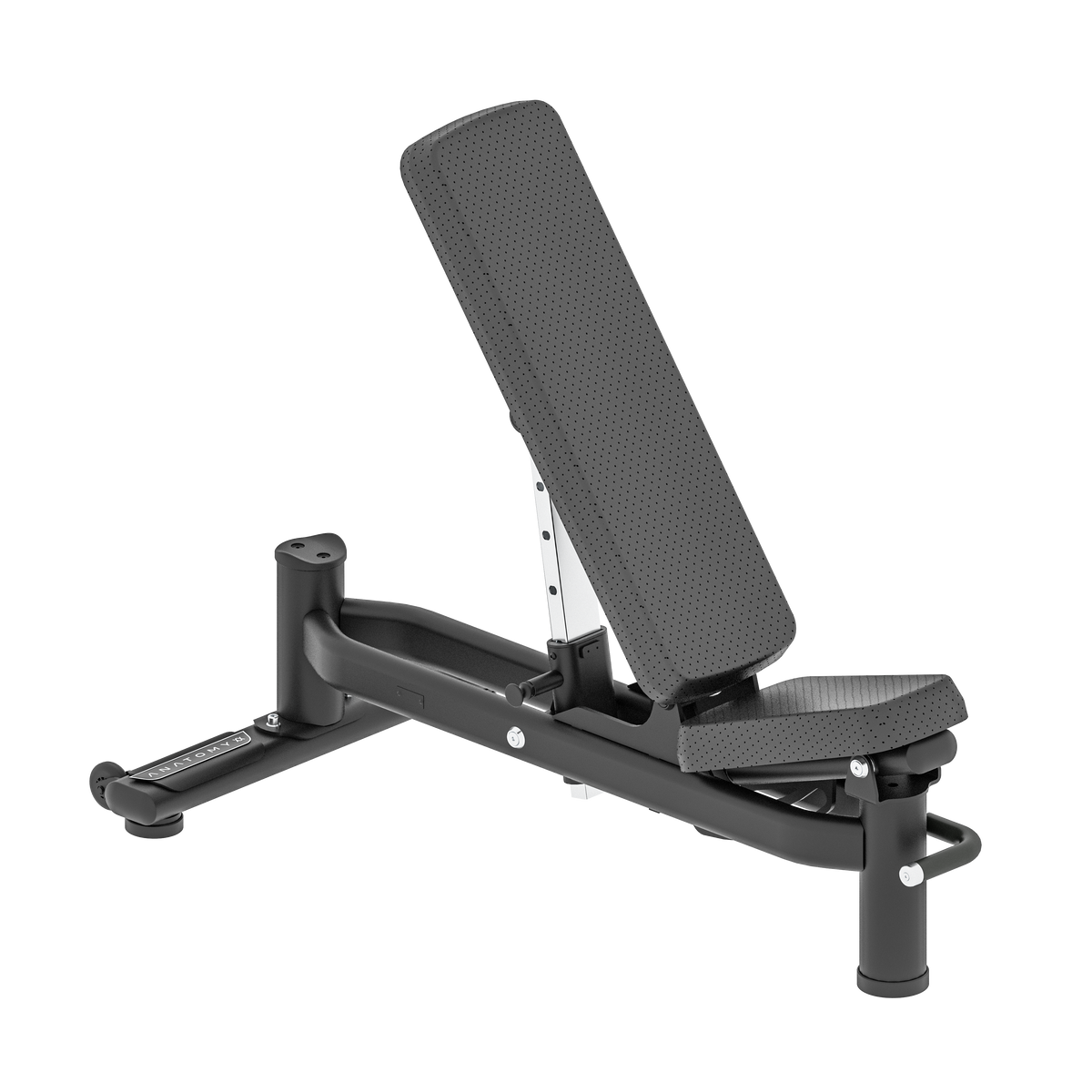 Anatomy Adjustable Bench – AlQudra Sports Equipment