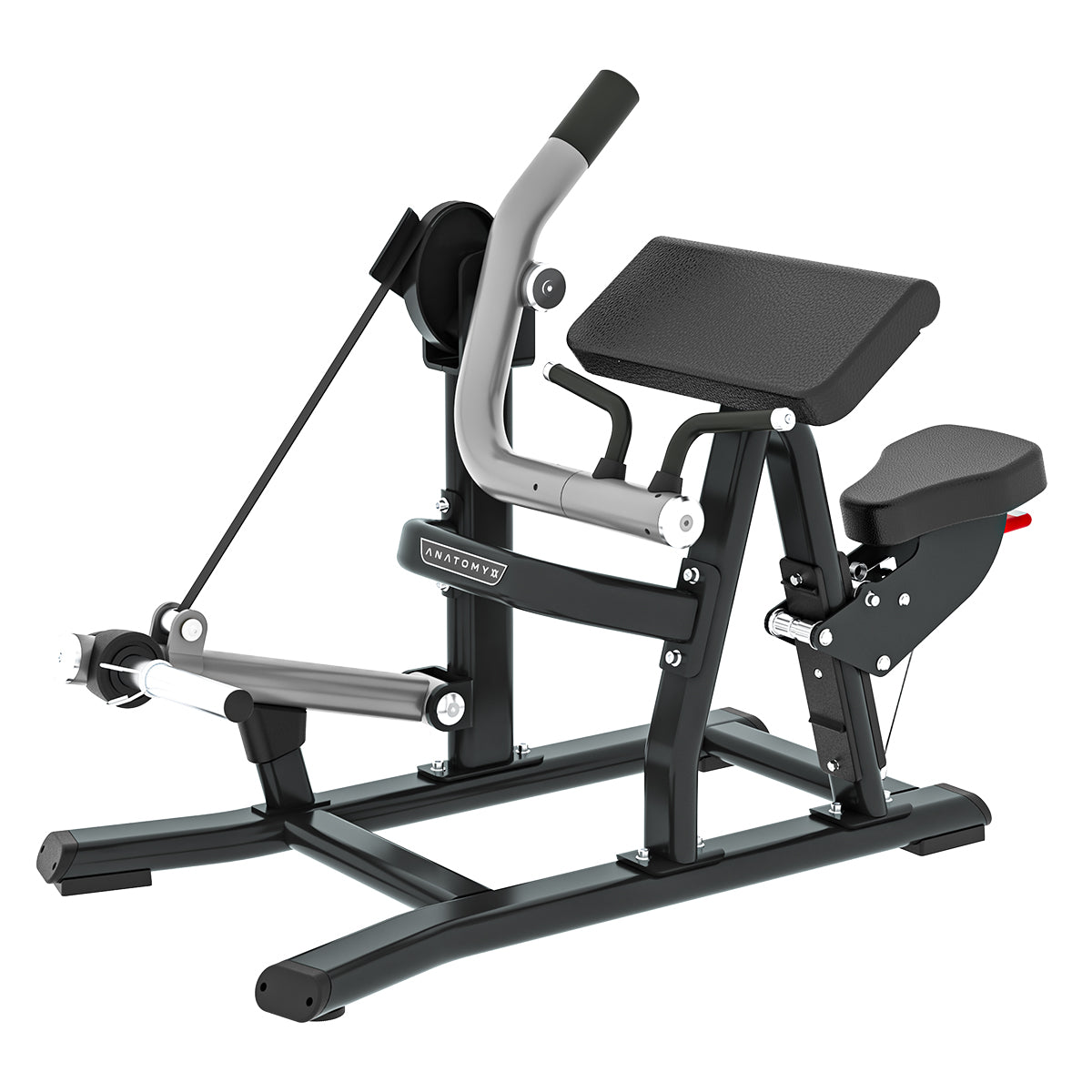 Biceps Curl - Plate Loaded