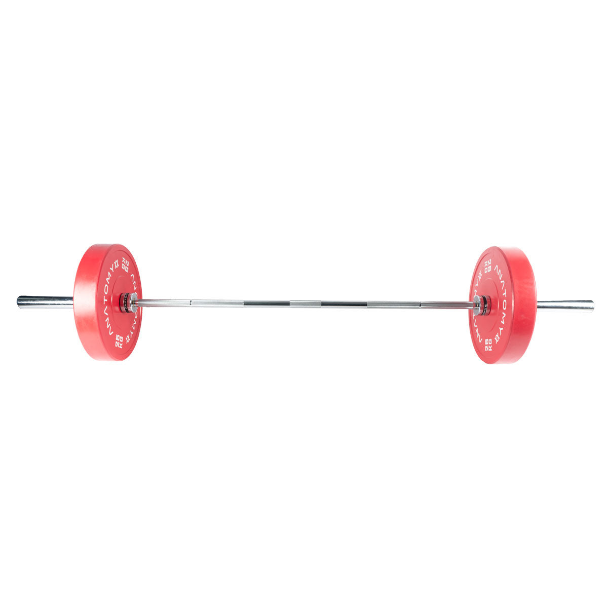 Anatomy weightlifting men barbell 86"