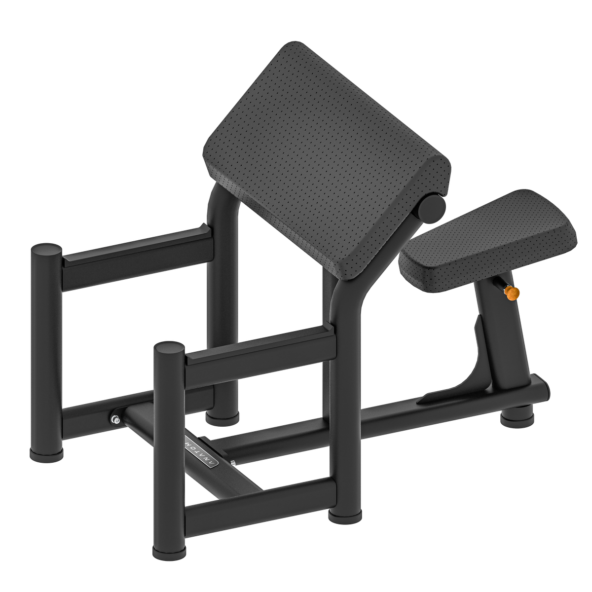 Anatomy Preacher Bench – AlQudra Sports Equipment